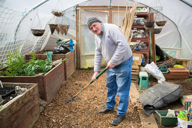 City Farm Allotment | Fair Shares